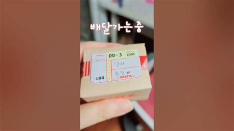 따니네만들기 택배상자도안 미니택배박스 Youtube