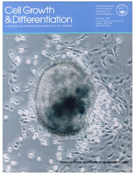 Complex Regulation Of Human C Kit Transcription By Promoter Repressors