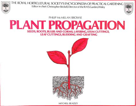 Plant Propagation Textbook At Donald Beach Blog