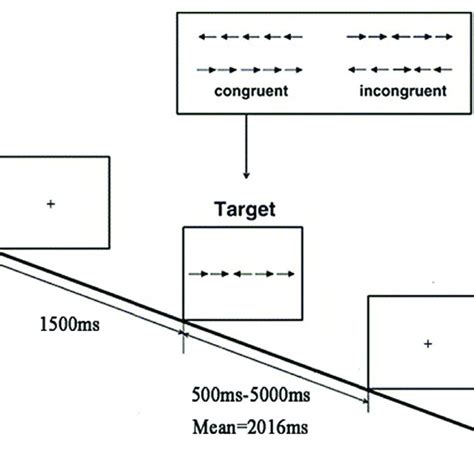 Flow Chart Of The Functional Magnetic Resonance Imaging Fmri Task Download Scientific