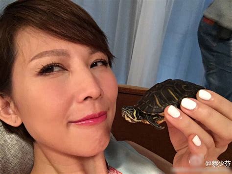 “娘娘”当心！蔡少芬亲乌龟 网友：小心被咬变香肠嘴手机凤凰网
