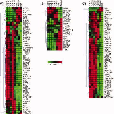hierarchical cluster analysis of gene expression data genes whose