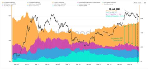 Latest Bitcoin Dominance News Touch 56 What Does This Mean For The