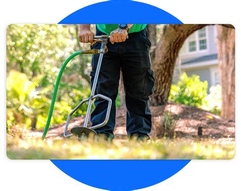 Fertilization ArborNature Tree Experts