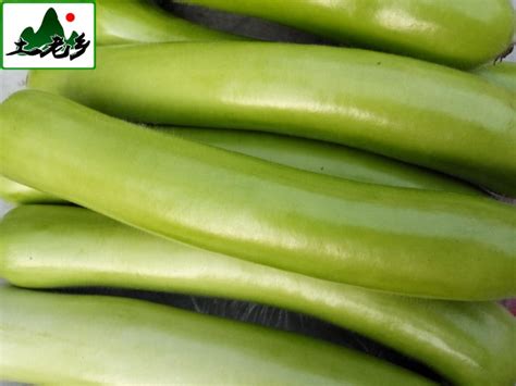 付子瓜图片瓜图片大全图片大山谷图库