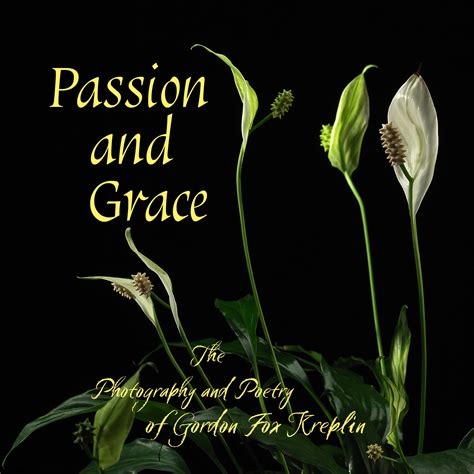 Passion And Grace Ebook And Print Edition Gordon Kreplin Guitarist