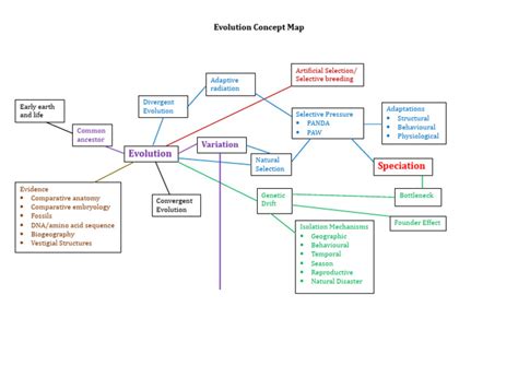 Evolution Concept Map Pdf