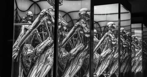 The Architecture And Design Of Robots Form Follows Function