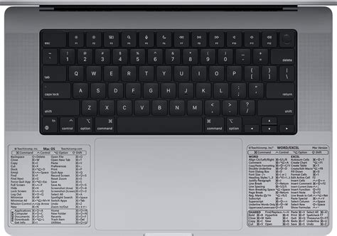 Buy Teachucomp Keyboard Shortcuts Sticker For Mac Os Plus Microsoft