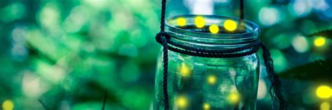 Get Our Brochure On Luminescence Assay Technology Revvity