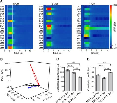 Dynamics And Similarity Of Glomerular Activity Patterns In Olfactory Download Scientific