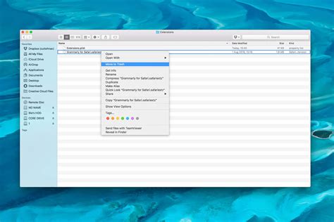 How To Delete Safari Extensions On Macos Sierra