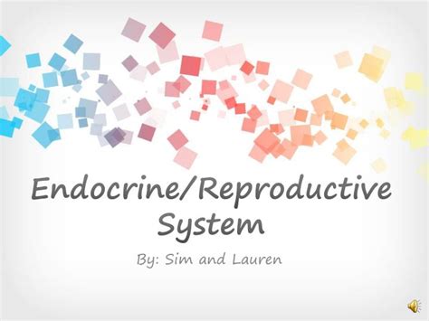 Ppt Endocrinereproductive System Powerpoint Presentation Free