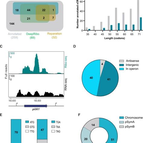 Ribo Seq Reveals Translated Annotated Small Open Reading Frames Sorfs Download Scientific