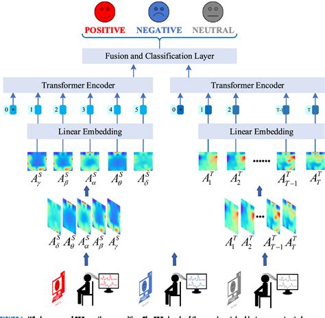 Figure 1 From Bi Branch Vision Transformer Network For Eeg Emotion