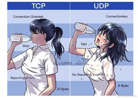Tcp 与 Udp:深入解析两种网络协议的主要区别tcp和udp原理图比较 Csdn博客 Tcp 与 Udp:深入解析两种网络协议的主要区别tcp和udp原理图比较 Csdn博客