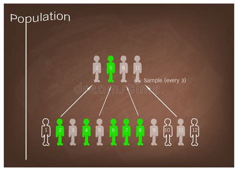Research Process Sampling From A Target Population Stock Vector