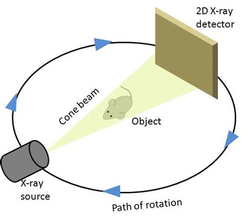 Cone Beam Reconstruction Using Matlab The Best Picture Of Beam