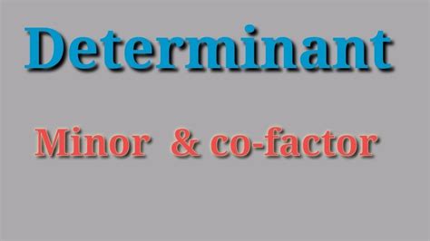 Determinants Minor And Cofactors How To Solve Minor And Cofactor