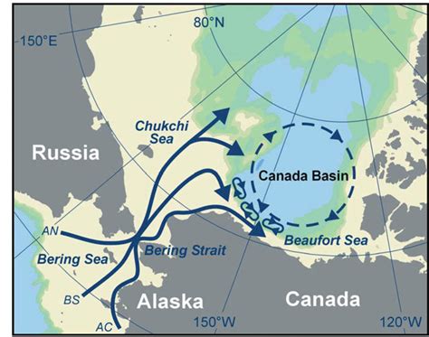 Pathways Of Currents And Oceanographic Features Of The Northern Bering