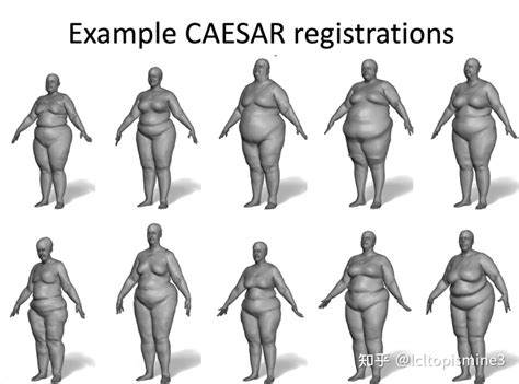 虚拟人（smpl） Cvpr 教程专项一：smpl的介绍、历史与基础 知乎
