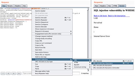 PortSwigger SQL Injection Vulnerability In WHERE Clause Allowing