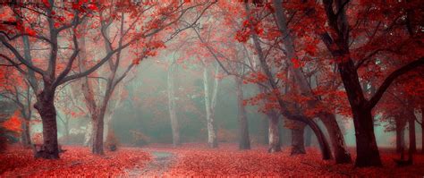 #ultra-wide #photography #2K #wallpaper #hdwallpaper #desktop 4k ...