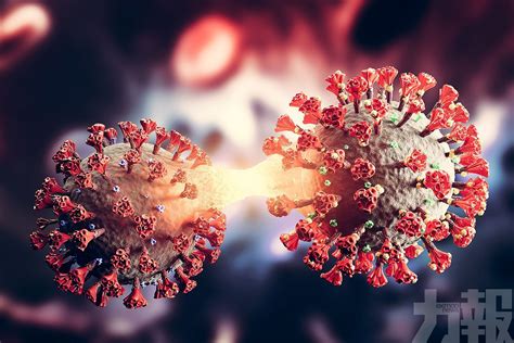世衛證實多國現新變種病毒 內地專家：delta及omicron重組而成 澳門力報官網