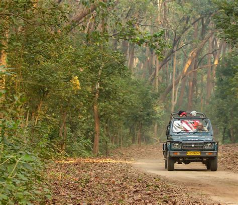Canter Safari Explore Corbett