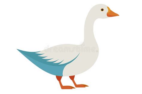 White Goose With Orange Beak And Feet Standing Bird Illustration