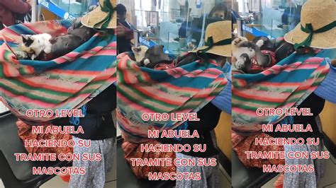 Ніжне відео леді що несе собаку і кішку на спині під час оформлення документів Infobae