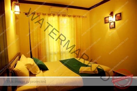 Nle Bird Next Level Education