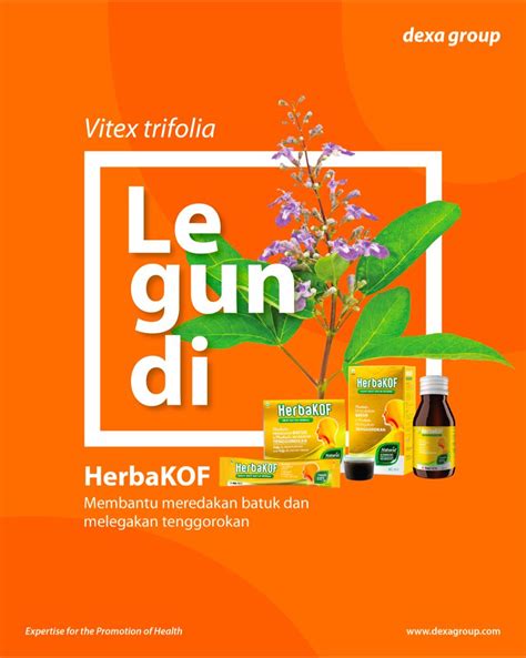 Dexagroup Dexamedica Obatmodernasliindonesia Herbakof