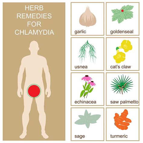 Chlamydia Symptoms Pictures Treatment Std Chlamydia