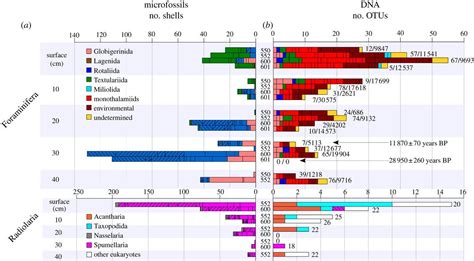 There Is No Such Thing As A Transitional Fossil Page 6 Faith Science Conversation