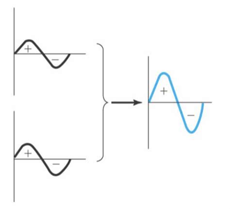Chemc105 Module 14 Valence Bond And Molecular Orbital Theory Flashcards Quizlet