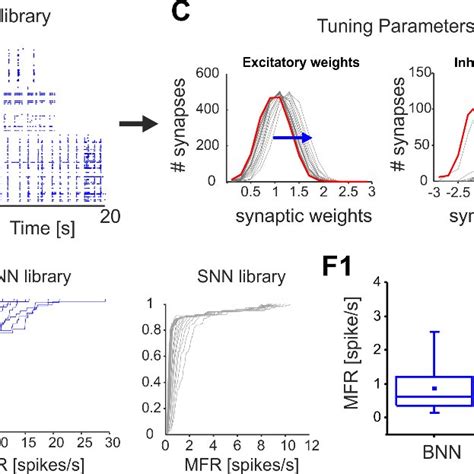 Spiking Neural Network Snn Design And Characterization A