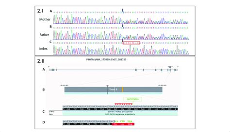 2 I Sanger Sequencing Electropherograms Of A Novel Deletion 8 Download Scientific Diagram