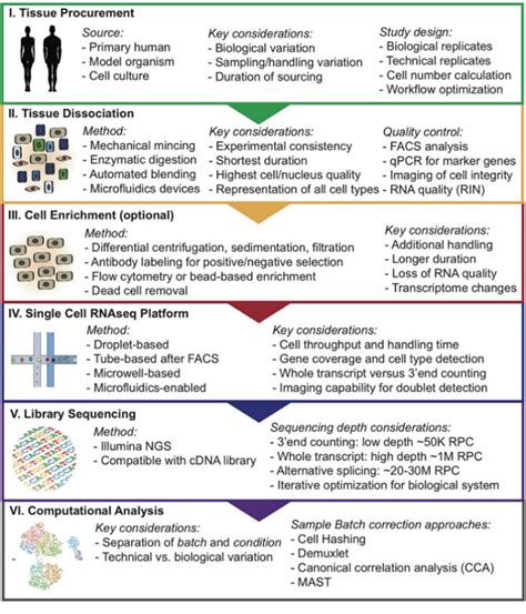 Cell Prep Possibilities Sample Prep And Cell Isolation Methods For Single Cell