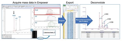 Interpreting Ms Spectra Acquired Within Empower 3 Using The Acquity Qda