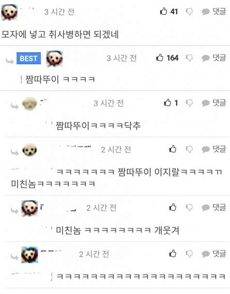 군대에 햄스터 갖고가도 되나요 포텐 터짐 최신순 에펨코리아