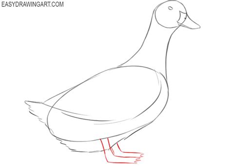 How To Draw A Duck Easy Drawing Art