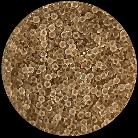 Gold Pixie Kostka Bojana