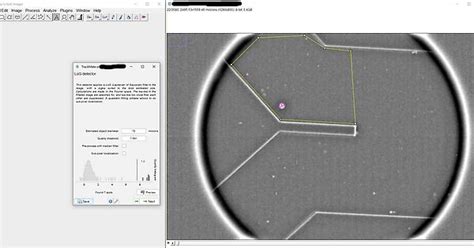 Specific Particle Detection In Mixed Particle Population Image Analysis Imagesc Forum