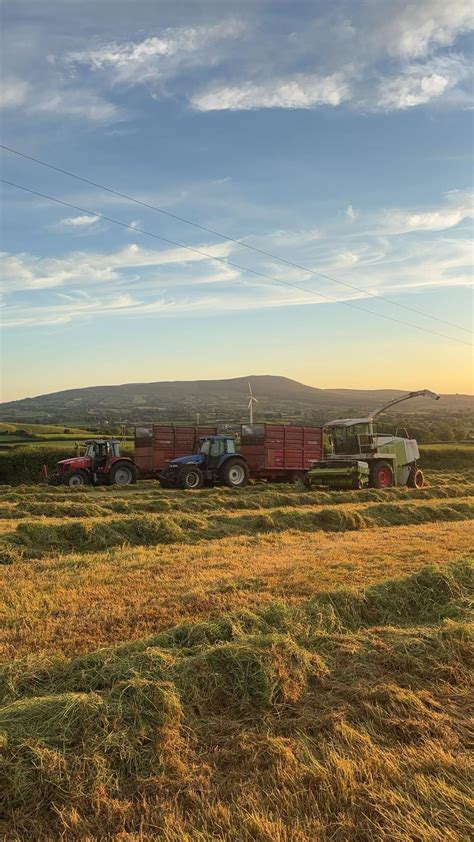 Prl Agriculture Service 6 තිරසාර බෝග වගාව කාබනික වගාව 05 නිබන්ධනයෙන් අප සාකච්ඡා කිරීමට