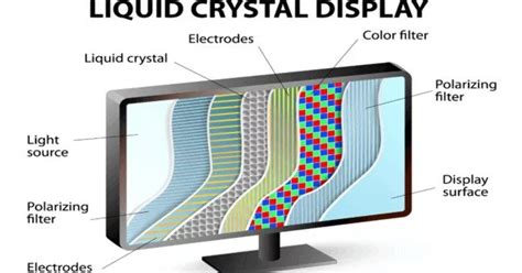 liquid crystal display assignment point