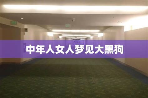 中年人女人梦见大黑狗 命理解梦