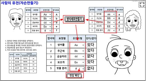 부모의 유전형질을 이용하여 자손 만들기 가상실험사람의 유전