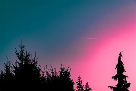 Analisis Data Time Series Dan Text