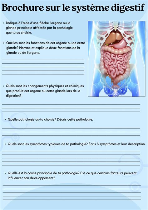 Projet Brochure Système Digestif Secondaire 3